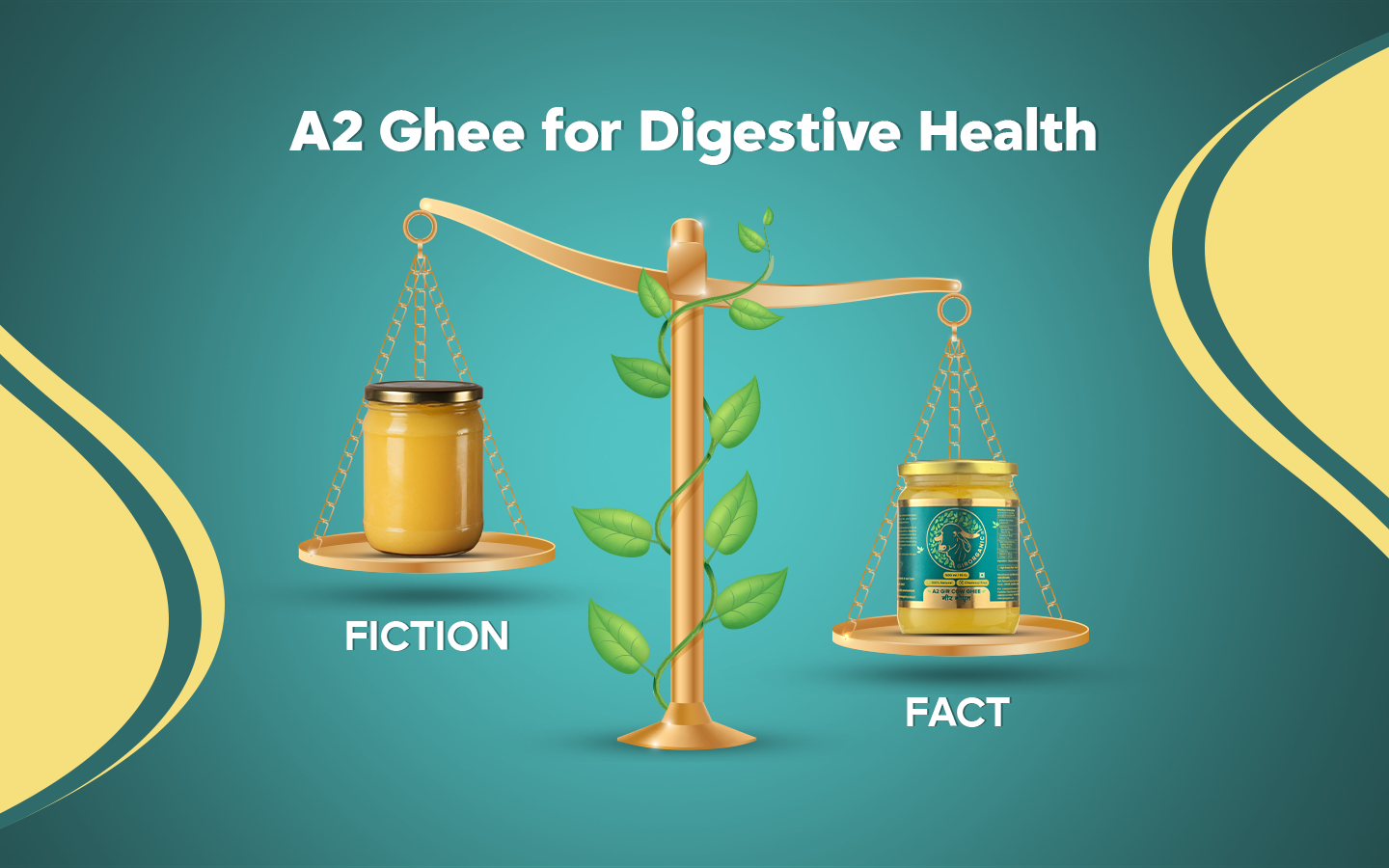 A2 Ghee for Digestive Health: Fact or Fiction?