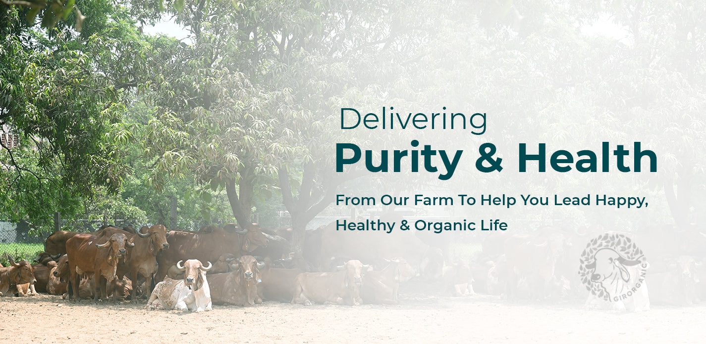 Subscribe to our newsletter to get regular offers